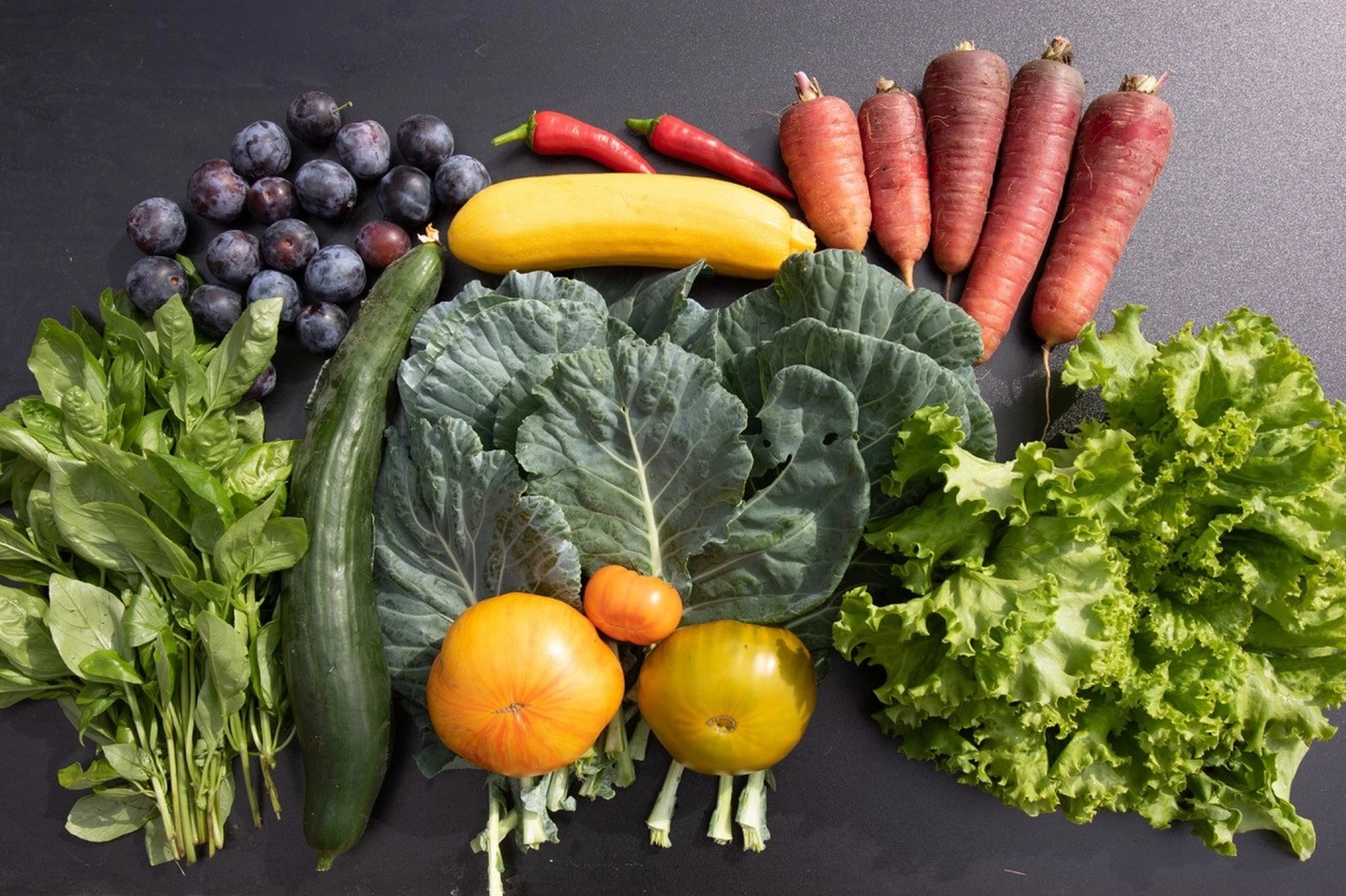 TERRA - Weekly fresh organic vegetable baskets in Luxembourg